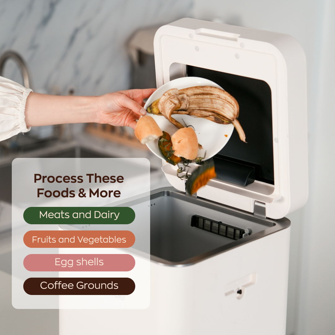 The First Microorganism Composter For A Greener World - Reencle