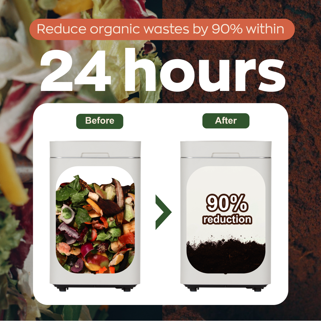 Can I Compost Bananas? A Complete Guide